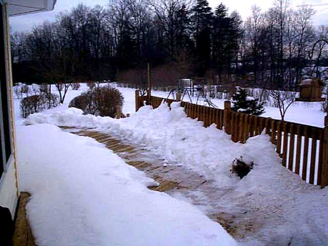 Crotty Family Photopage