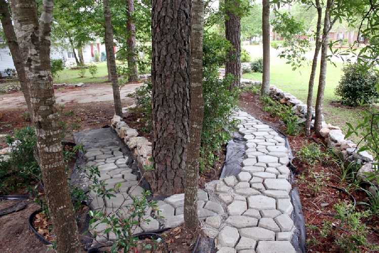 Crotty Family Photopage